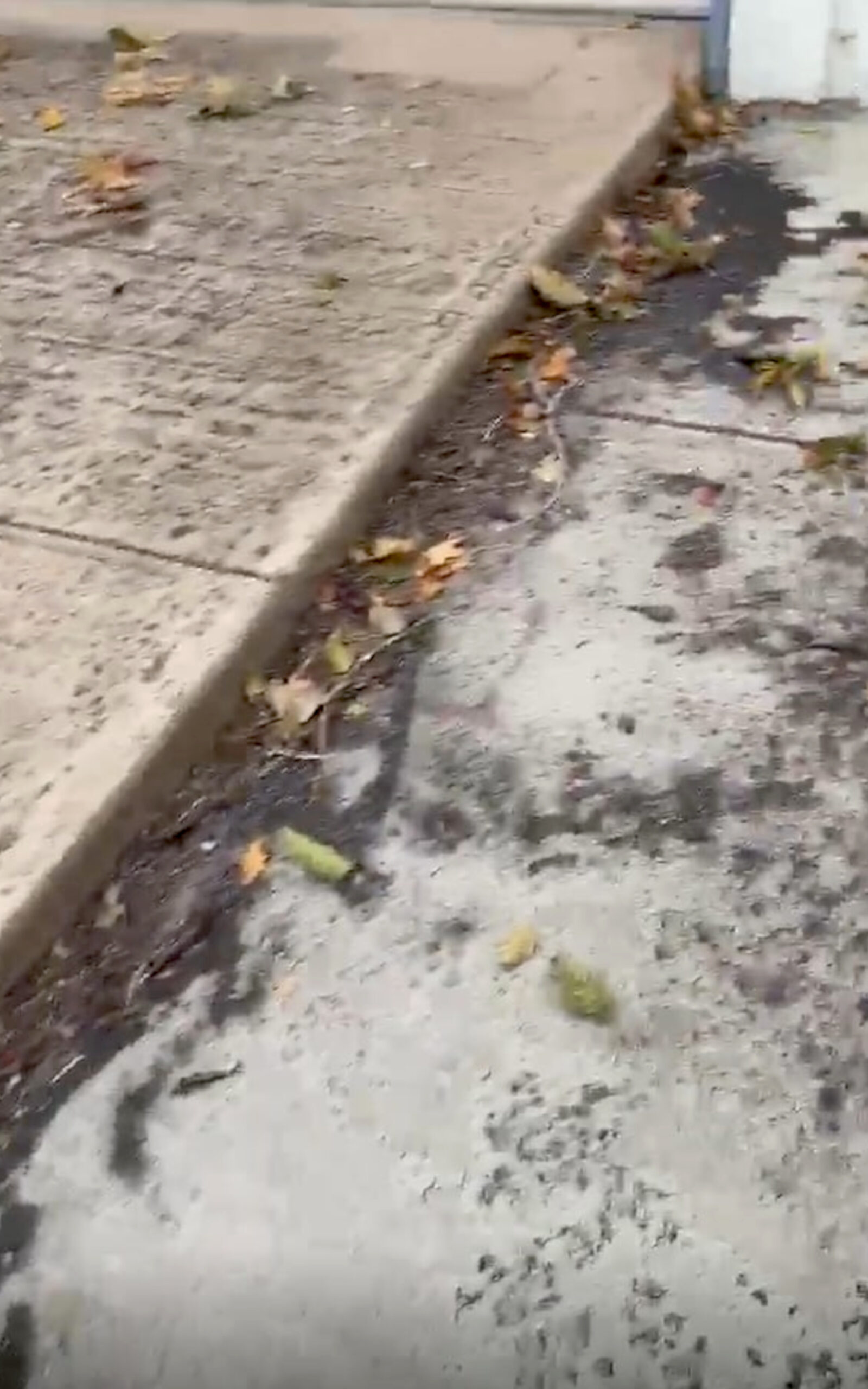 Ash-tonishing: Colorado Wildfires Send Ash Raining Down - The Westside ...