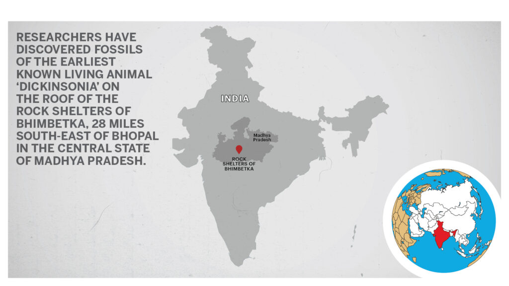 In Ancient Indian Rock Caves, Scientists Find Prehistoric Fossil - The ...
