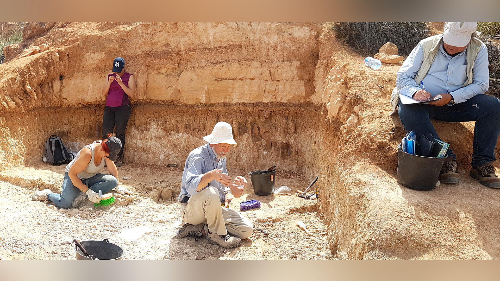 Ancient Monkey Molars Could Hold The Tooth About Man’s Prehistoric ...